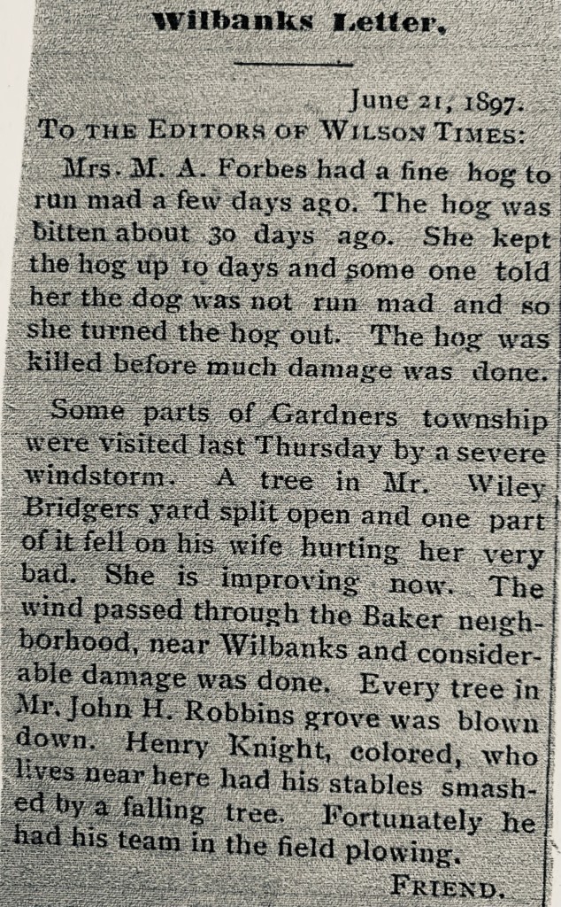 Wilbanks news. | Black Wide-Awake